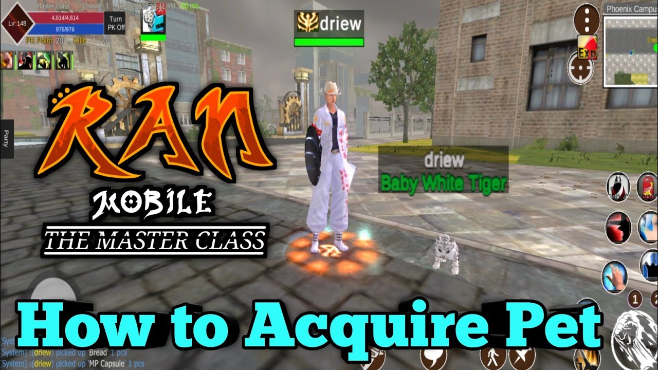 Ran Mobile | How to Acquire a Pet | Ran Mobile: The Master Class ...