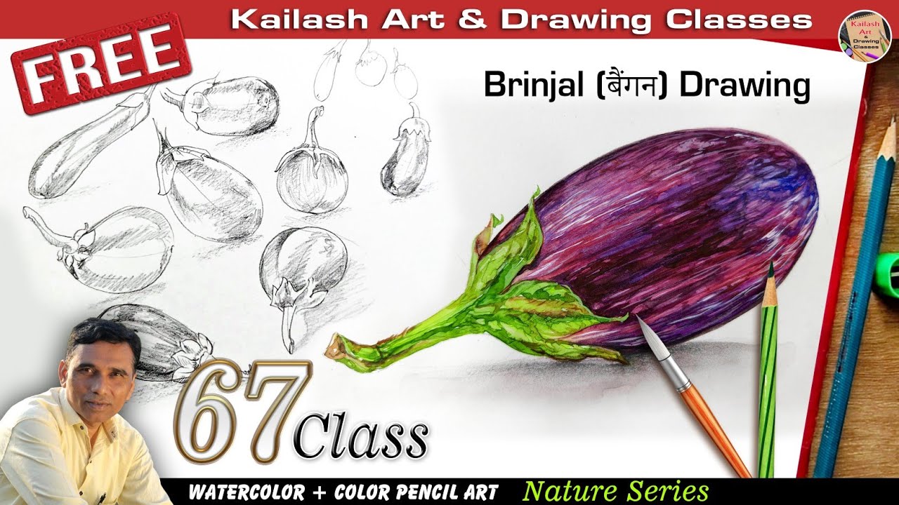 Brinjal Drawing | Easy Baingan Drawing || Watercolor + Color Pencil 💚🎨 ...
