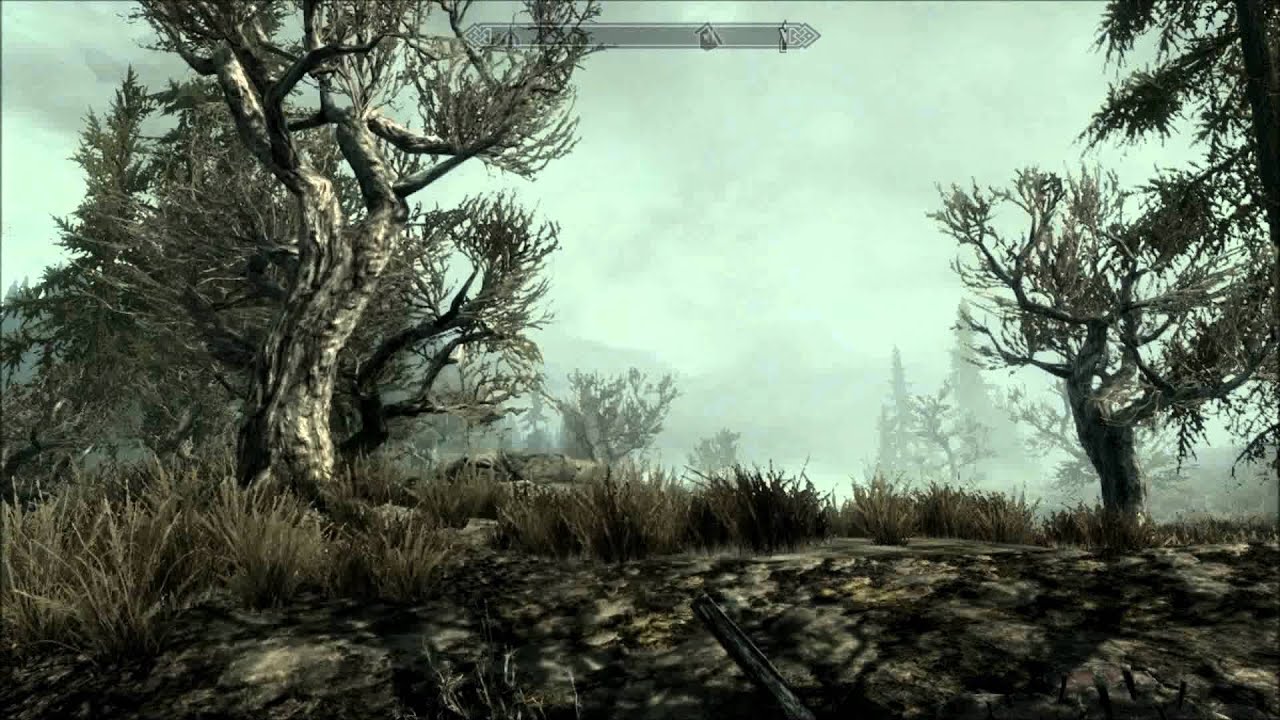 Skyrim Swamp - YouTube