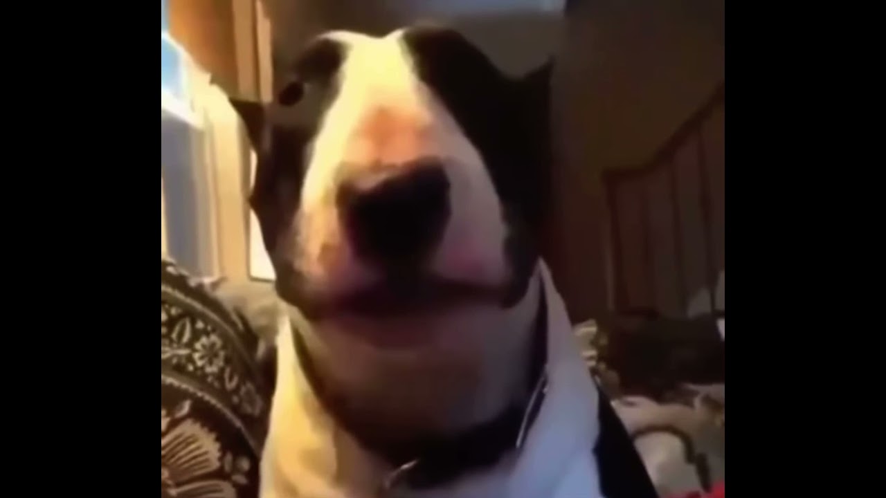 Discord Ping Sound Effect - YouTube