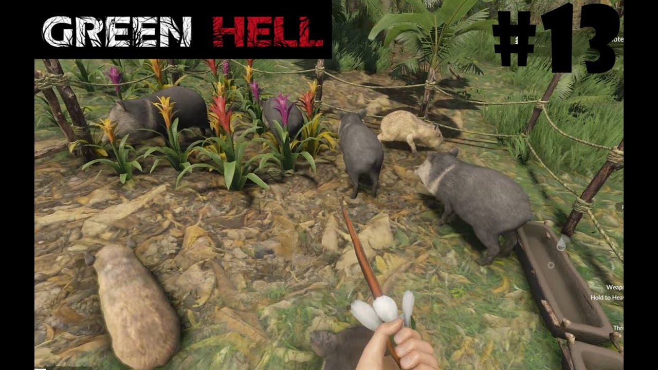 #13 Green Hell - Jaguar's Deadly Fall & Building an Animal Pen for ...