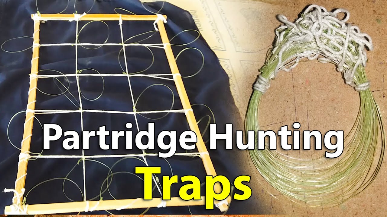 How to Make Francolin Bird traps | Teetar ka Shikar | Partridge Traps ...