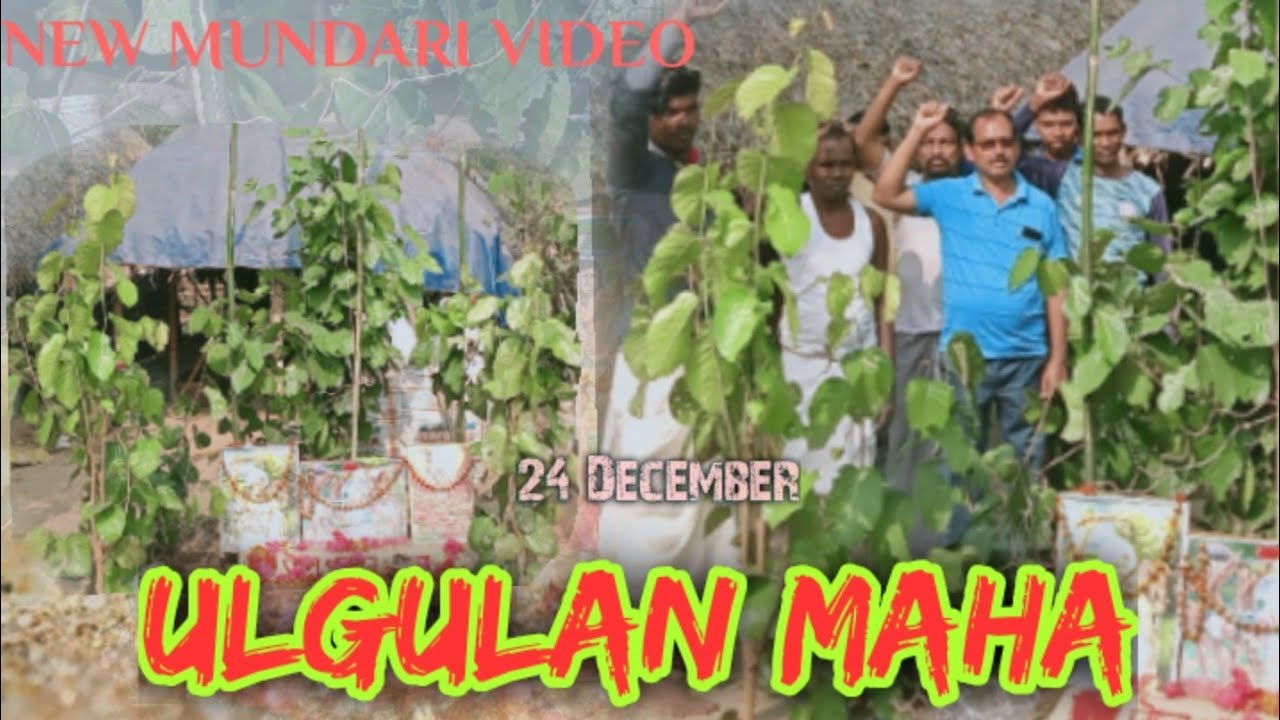 ULGULAN MAHA // NEW MUNDARI VIDEO 2020-21// Adivasi Creations presents ...
