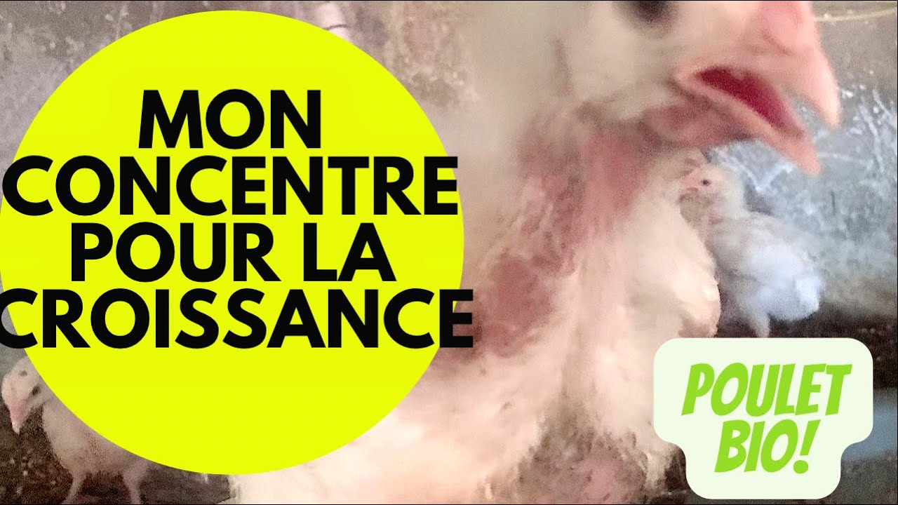 Concentré pour booster croissance poulets - YouTube