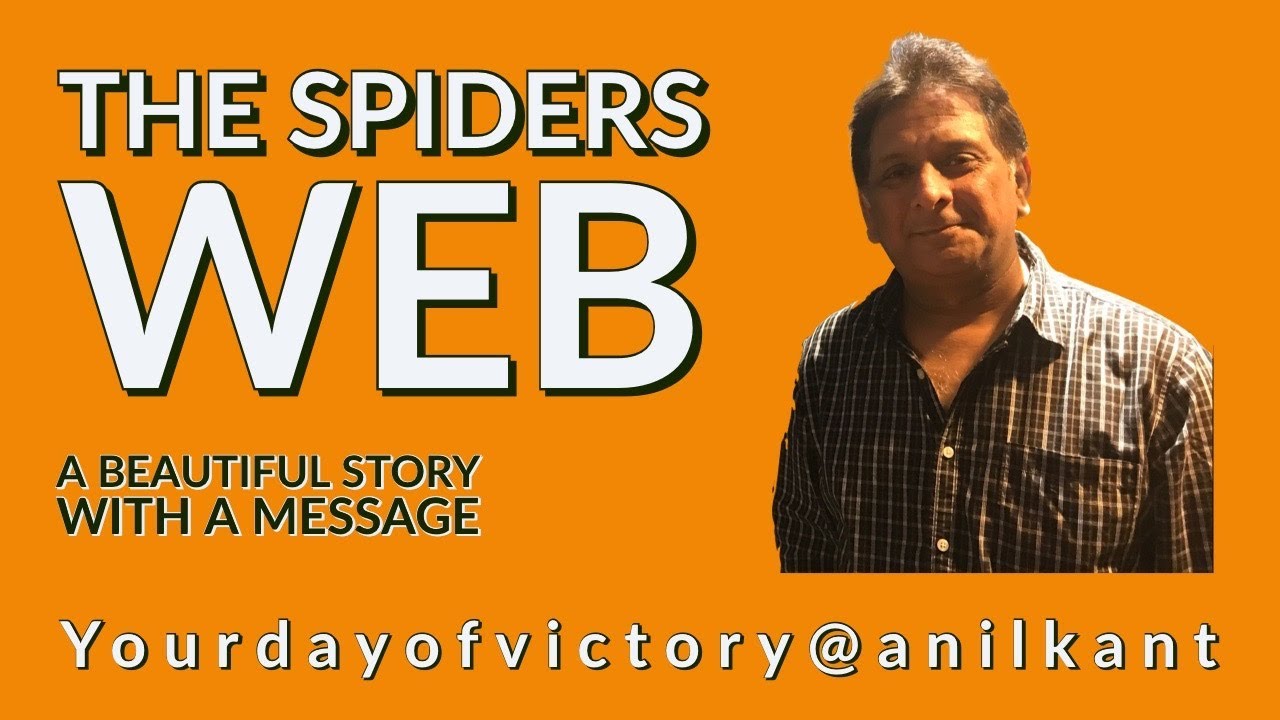 The Spiders Web. A beautiful story with a message. #spider #spiderweb # ...