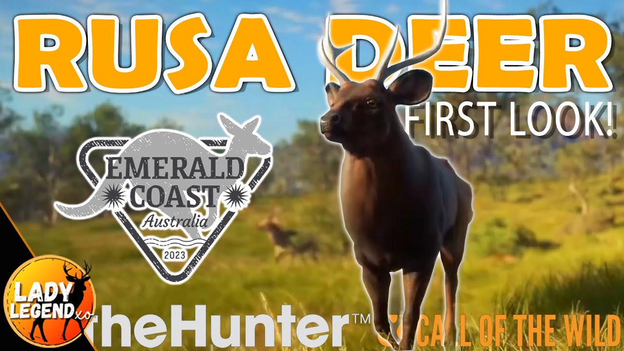 FIRST LOOK at RUSA DEER in AUSTRALIA!!! - Call of the Wild - YouTube