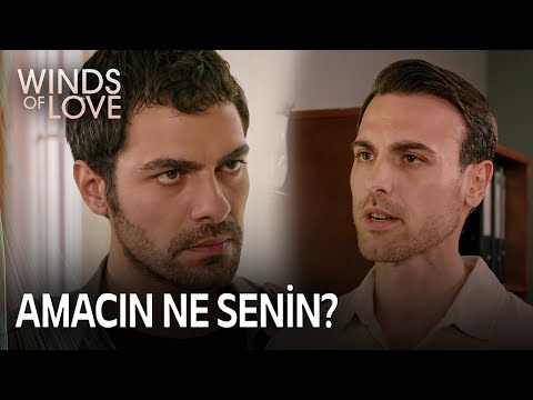 Alper, Halil ile karşı karşıya geliyor! | Rüzgarlı Tepe 97. Bölüm