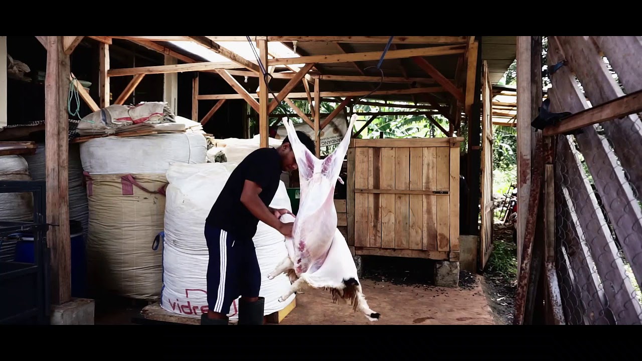 How to Skin and Gut a Sheep by Mief Jagal - YouTube