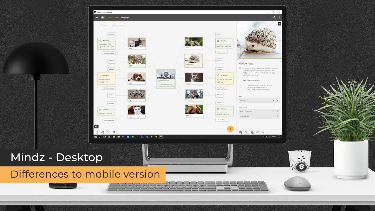 Mindz - Desktop - Some differences to mobile - YouTube