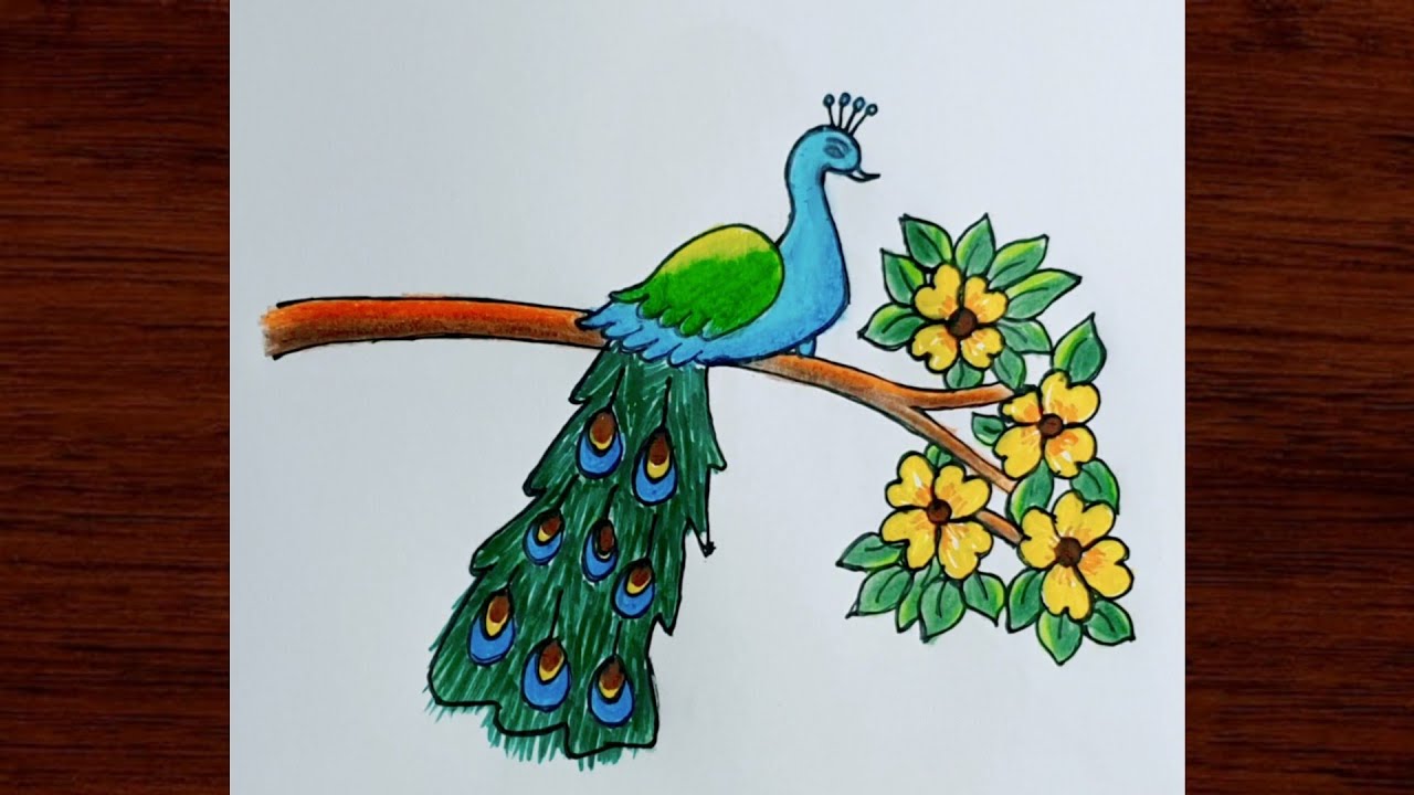 Easy Peacock Scenery Drawing ||How to Draw Peacock step by step ...
