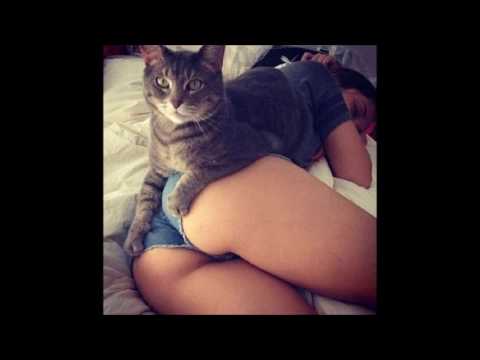 Yaramaz kedi işini biliyor :D ''2016''