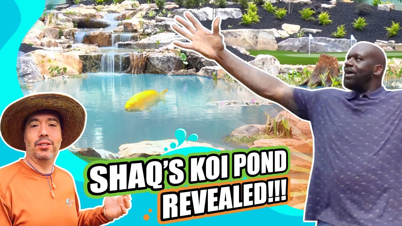 Shaq's Swim Pond REVEALED!!! - YouTube