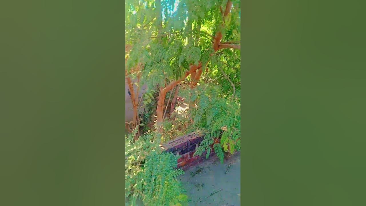 Sifa art craft - YouTube