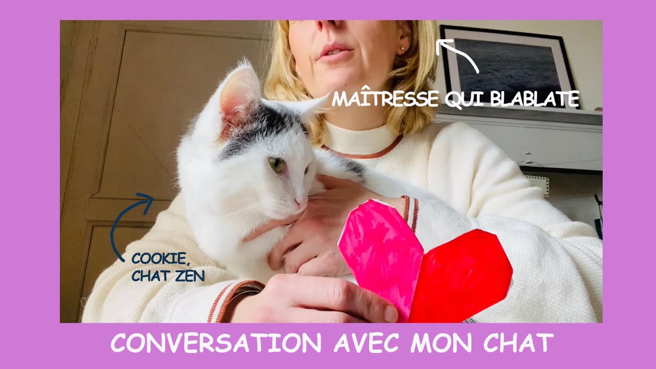 Conversation avec mon chat - Chat 99 - YouTube