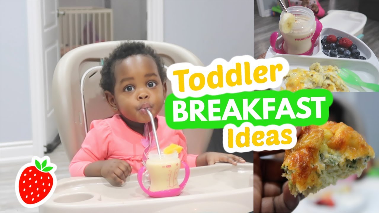 TODDLER BREAKFAST IDEAS | MEAL IDEAS FOR TODDLERS & KIDS - YouTube