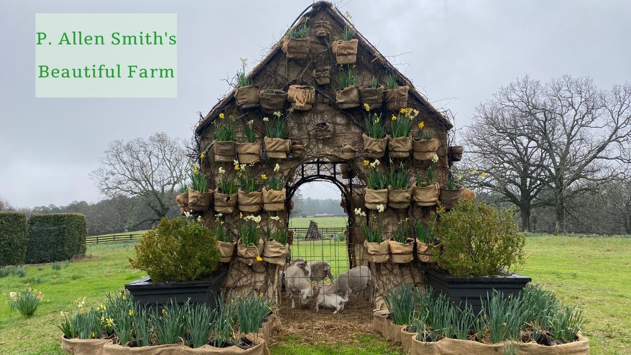 P. Allen Smith's Daffodil Farm - YouTube