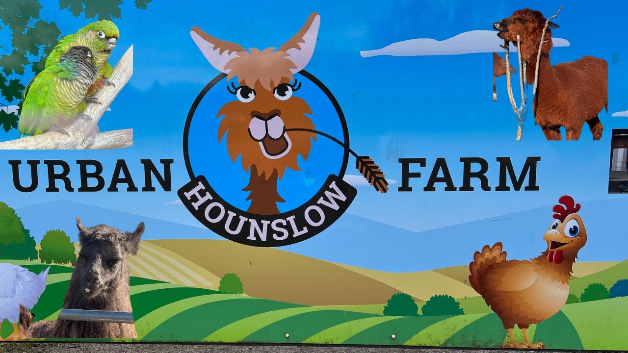 A Day at Urban Farm Hounslow | London UK - YouTube