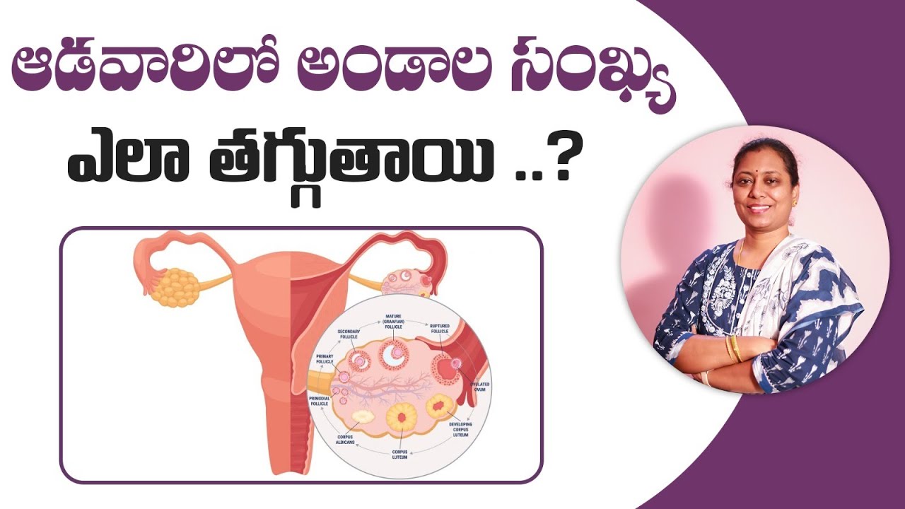 What is Female Egg | Ovum | Egg quality and quantity | Dr Neeraja's ...