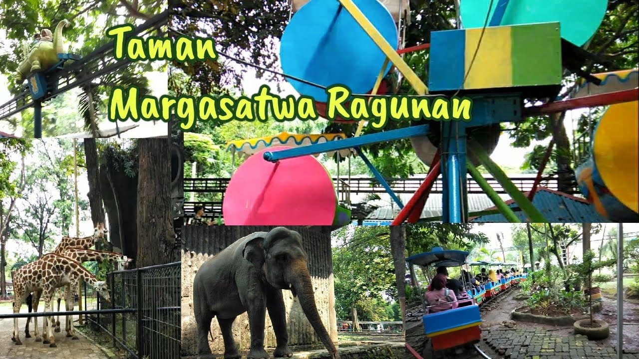 MARGASATWA RAGUNAN JAKARTA TGL17 AGUSTUS SERU BANGET - YouTube