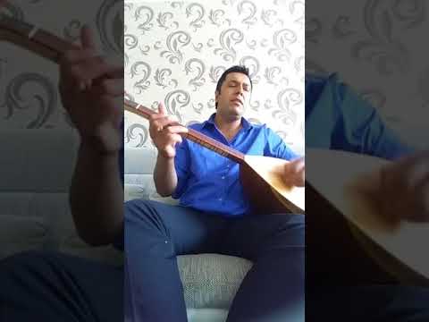 Geylan şirnani almanya