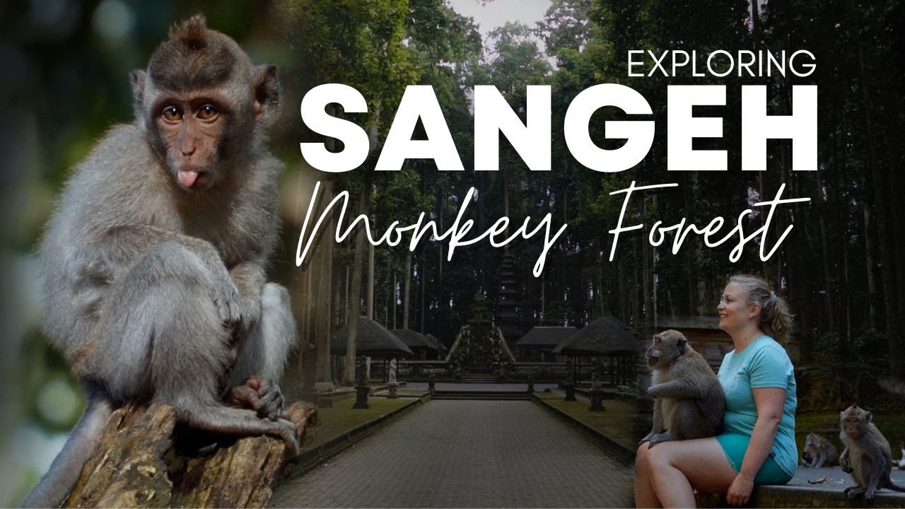 Exploring Sangeh Monkey Forest - YouTube