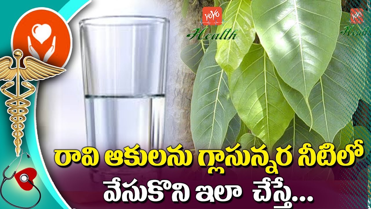 Health Benefits Peepal Leaves | Raavi Chettu | Health Tips | Home ...