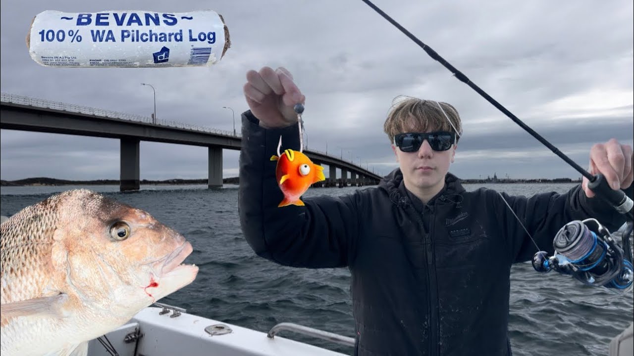 "How to Catch Pink Snapper off Perth Using 6kg of Burley!" EP-59 - YouTube
