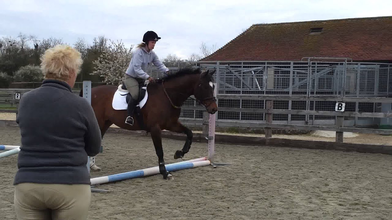Show Jumping Grid Work - YouTube