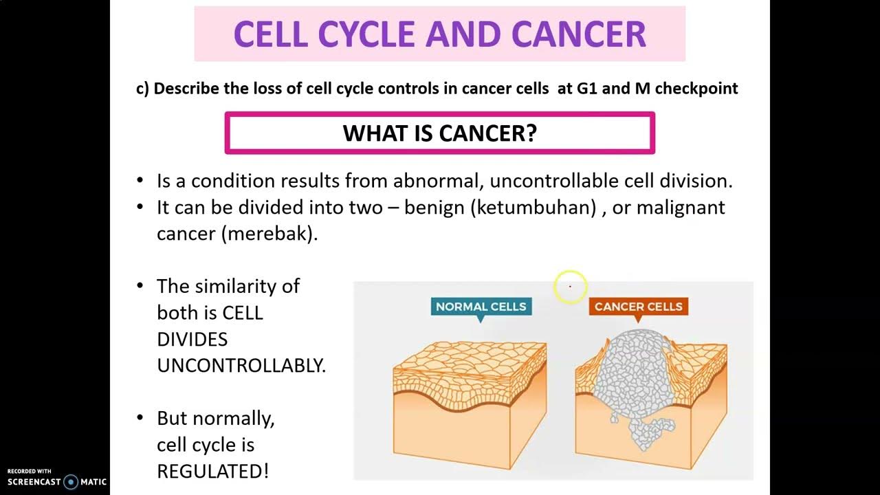 LECTURE CHAPTER 3 PART 12 - YouTube