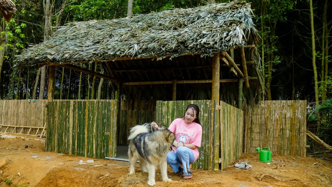 30 Days The girl builds a complete wooden house. Alone Living off the ...