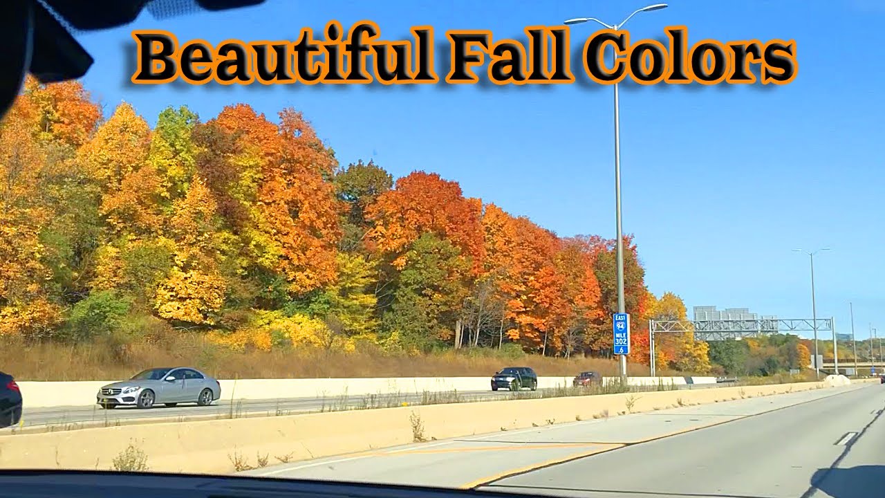 Beautiful Fall Tree Colors In Bloom - YouTube