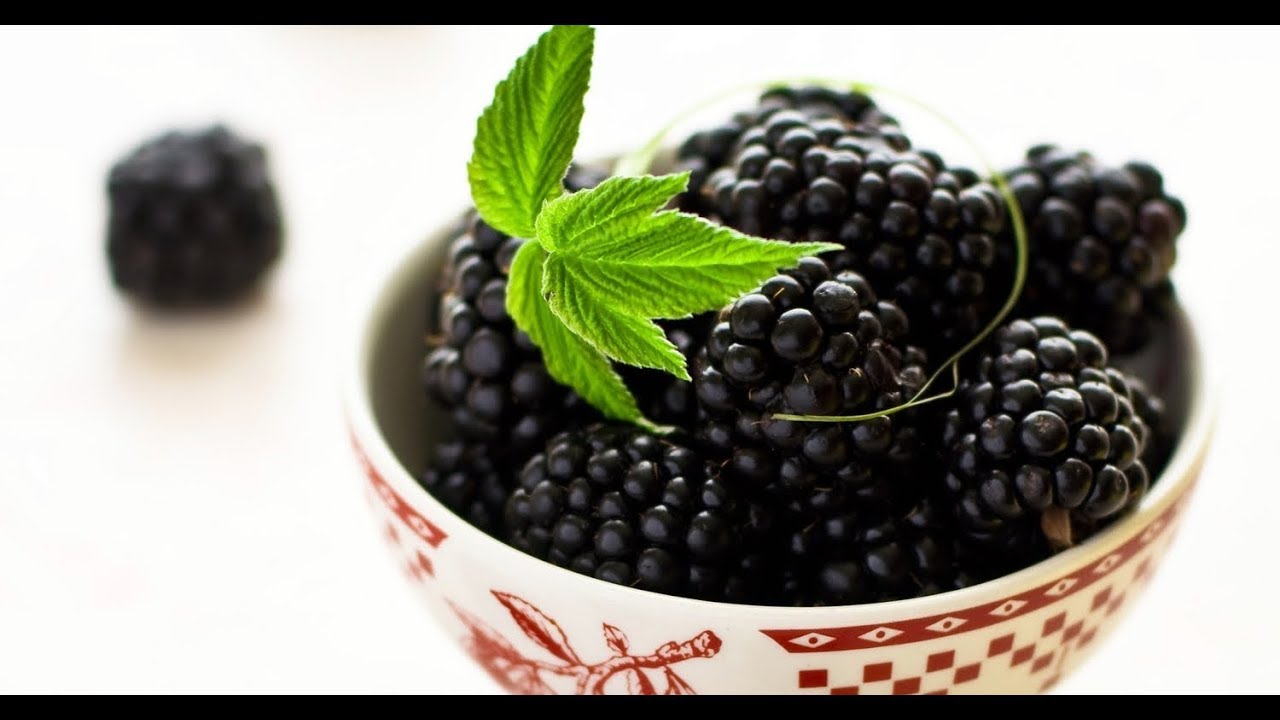 Mani i zi dhe mani i bardhë, pema që trajton presionin e lartë të ...