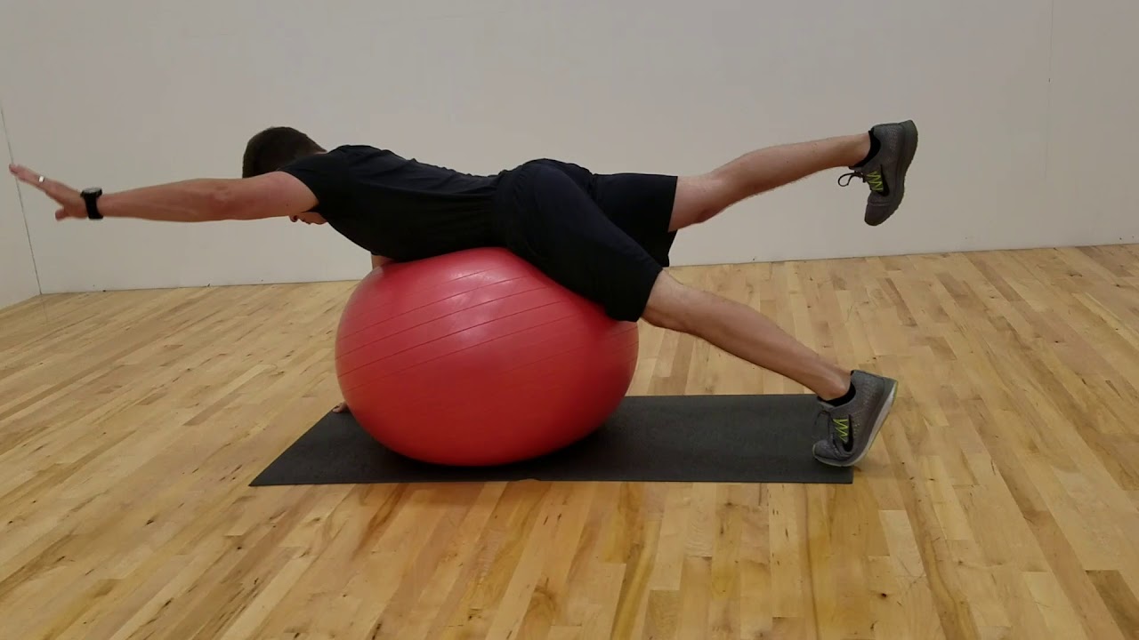 SB Prone Bird Dog TYI - Scapular Work on Exercise Ball - YouTube
