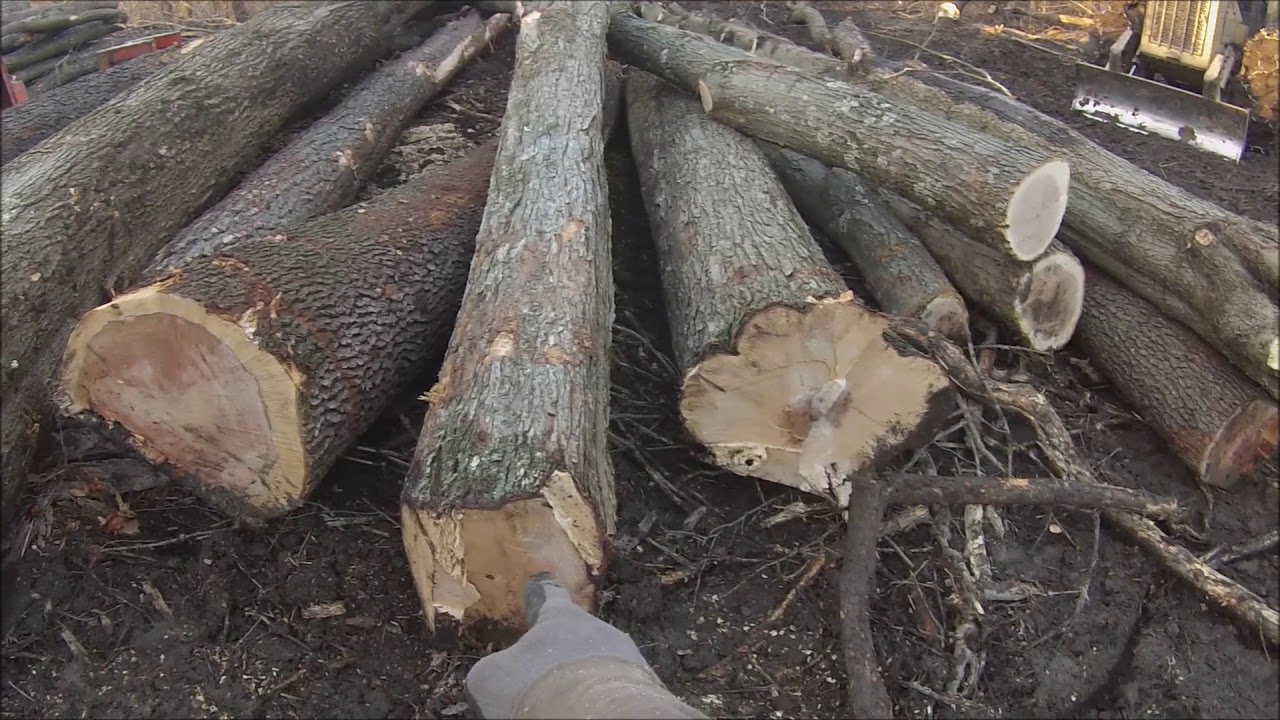 log marking - YouTube