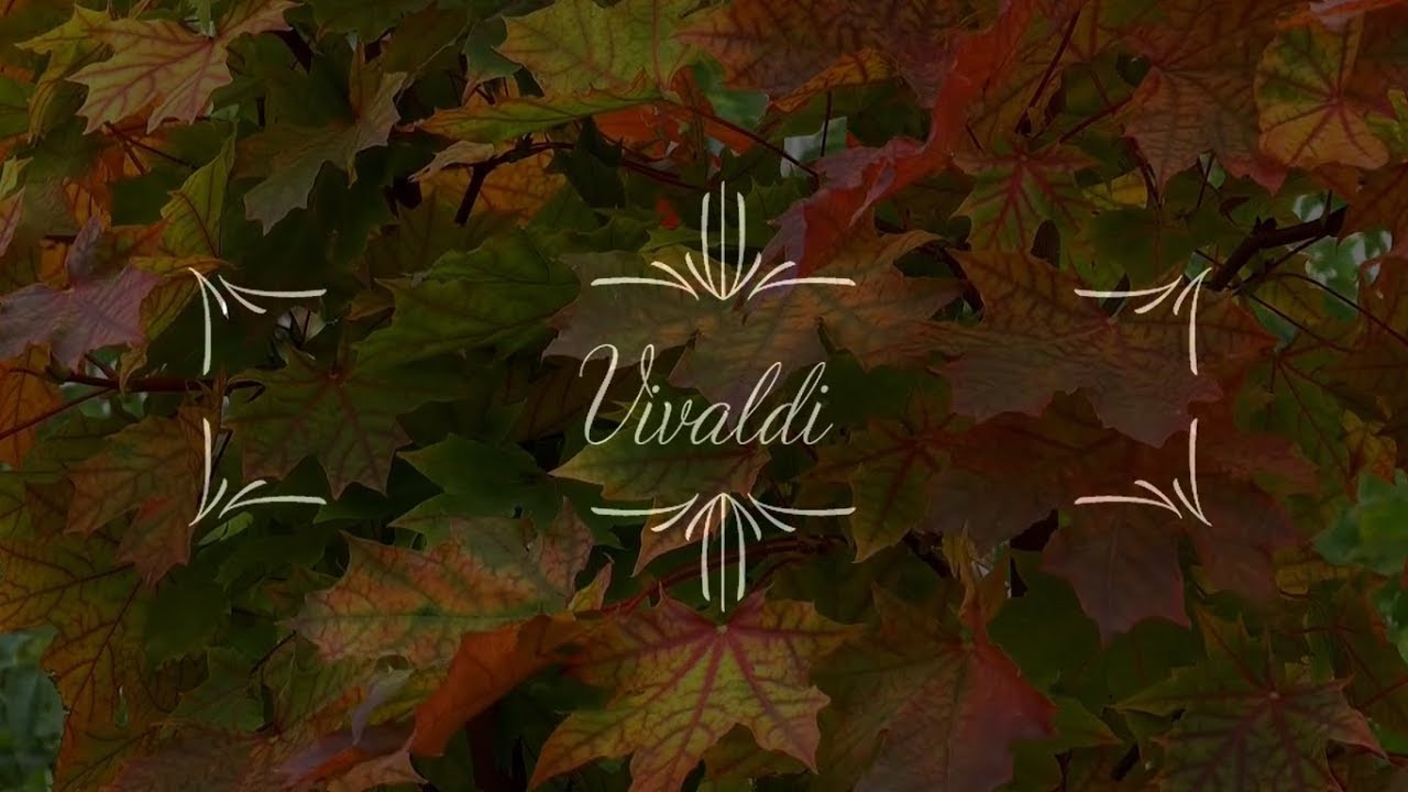 Vivaldi - The Four Seasons, Op. 8 RV 293.3 - L'autunno (Autumn ...