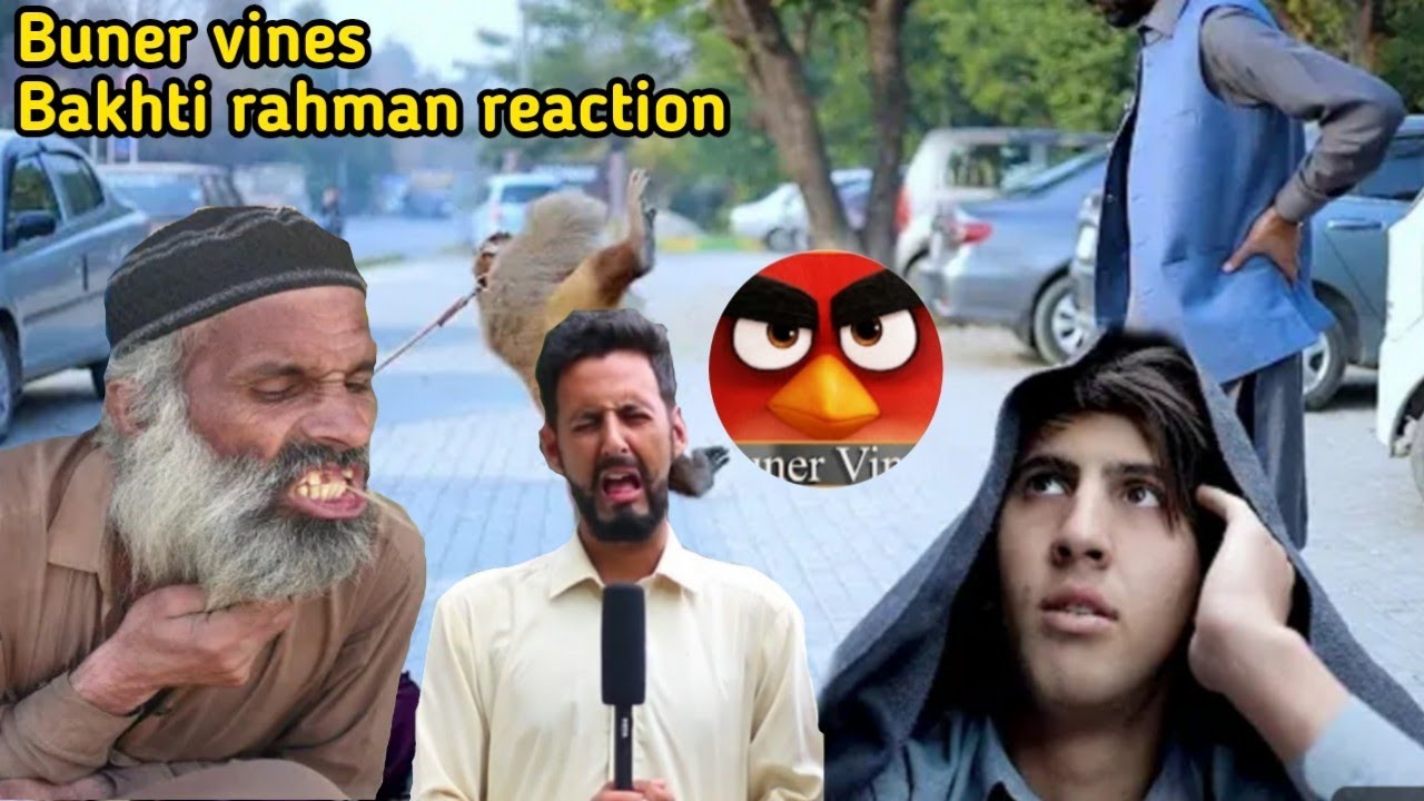 Tameez | Mamilat Buner Vines New Video 2024 bakhti rahman reaction ...