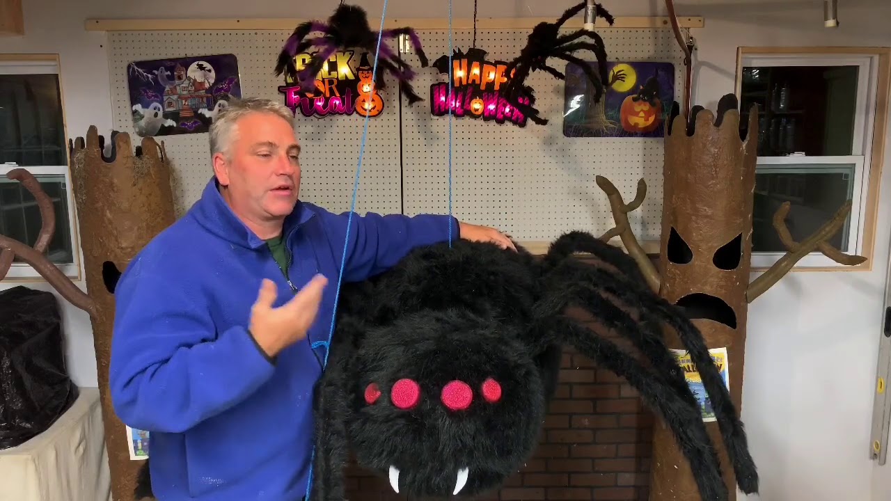 Boris the Spider - YouTube