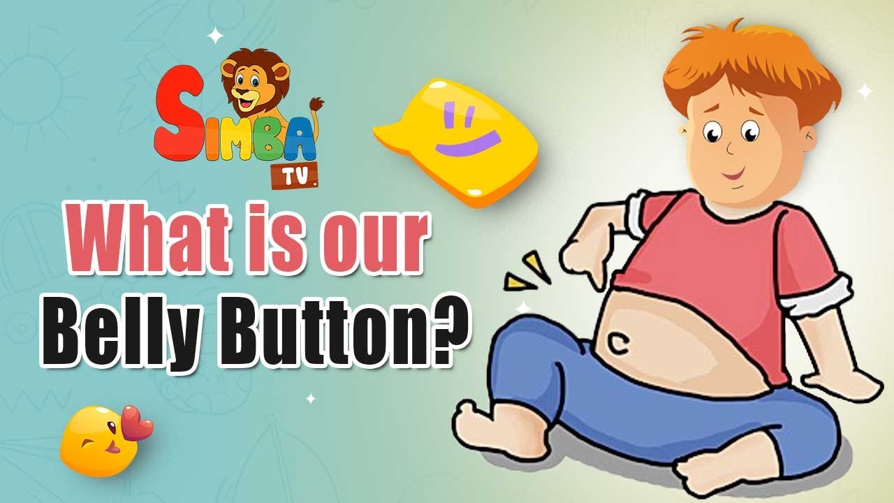 What Is Our Belly Button?? - YouTube