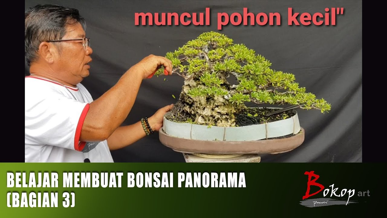 BELAJAR MEMBUAT BONSAI PANORAMA (bagian 3) - YouTube