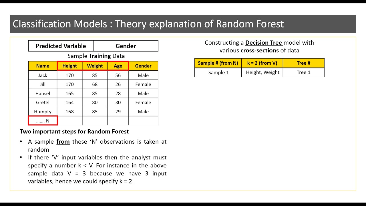 Building Random Forest Models - YouTube