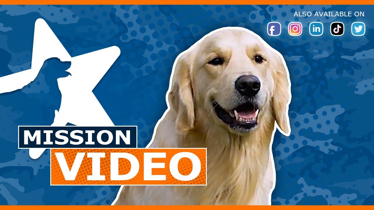 Watch our WCC Mission Video - YouTube