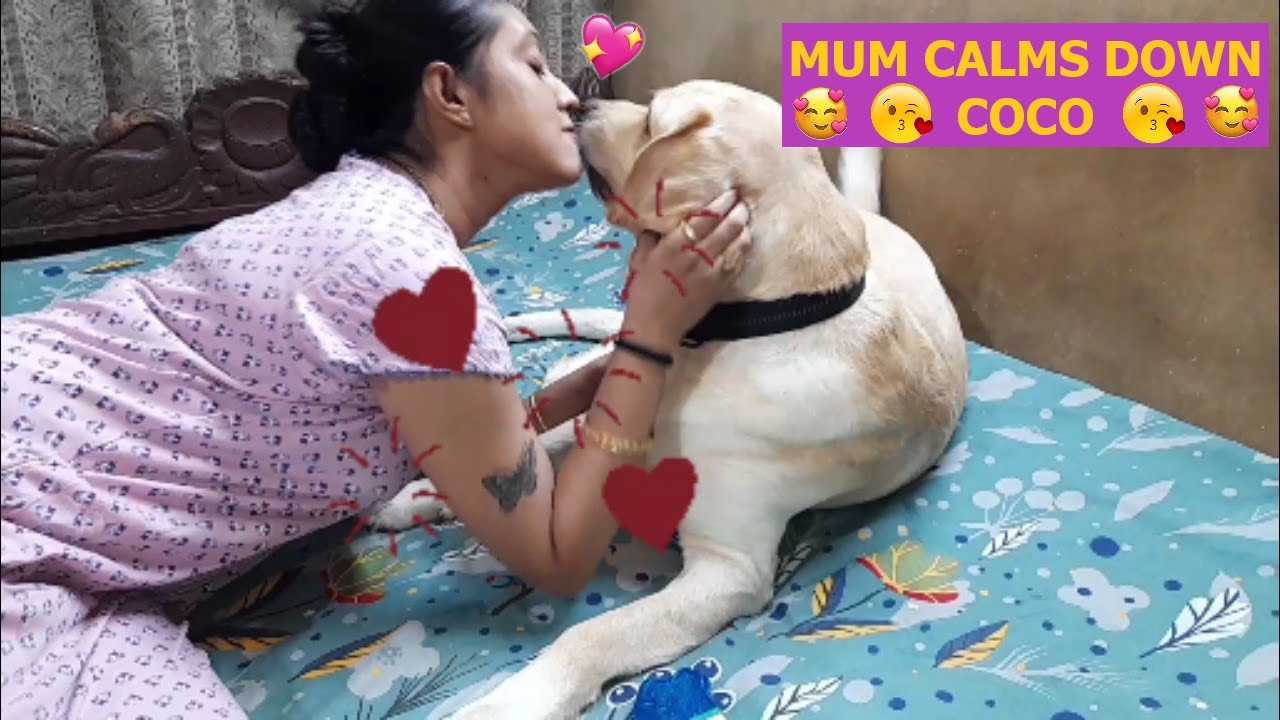 COCO GONE CRAZY !!! MUM GETS NEW TOYS BUT COCO WANTS MUM | WATCH THE ...