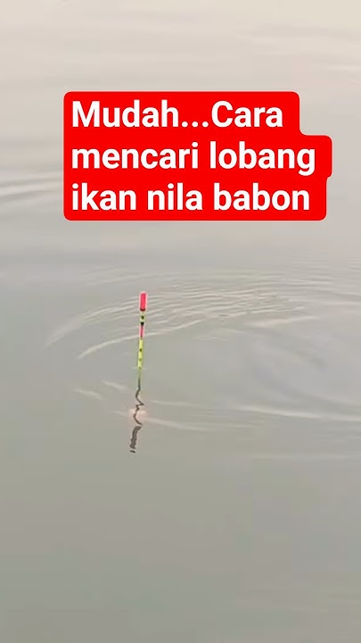 Cara mencari Lobang ikan nila babon #mancing #fishing #mancingmania #angler #ikan #amazing # ...