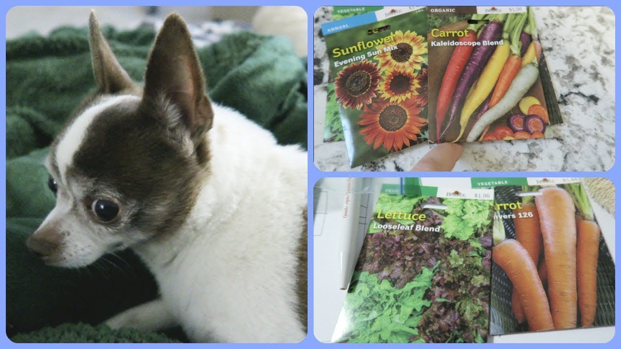 Finding Things For The Garden - YouTube