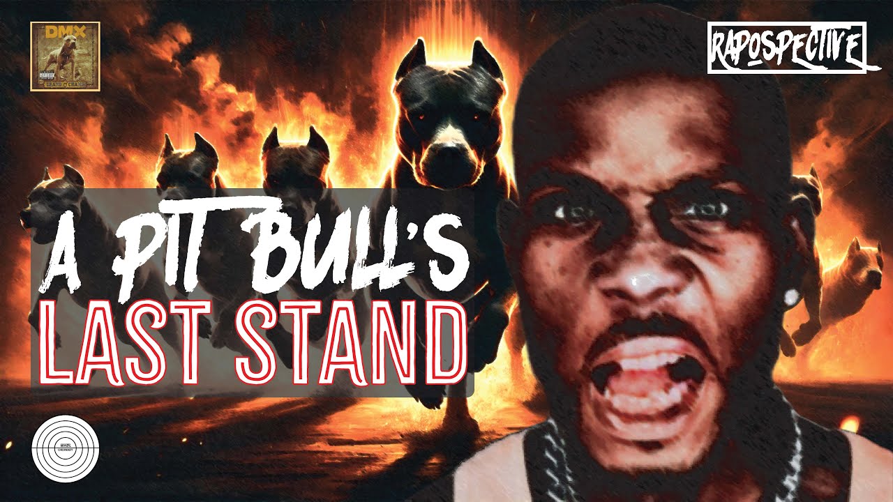 A Pit Bull's Last Stand | DMX - Grand Champ (2003) - YouTube