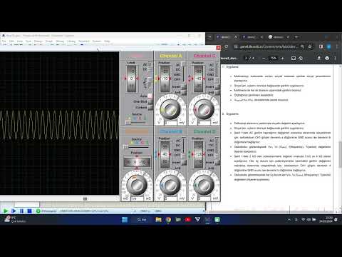 223204083 devlab2 den2