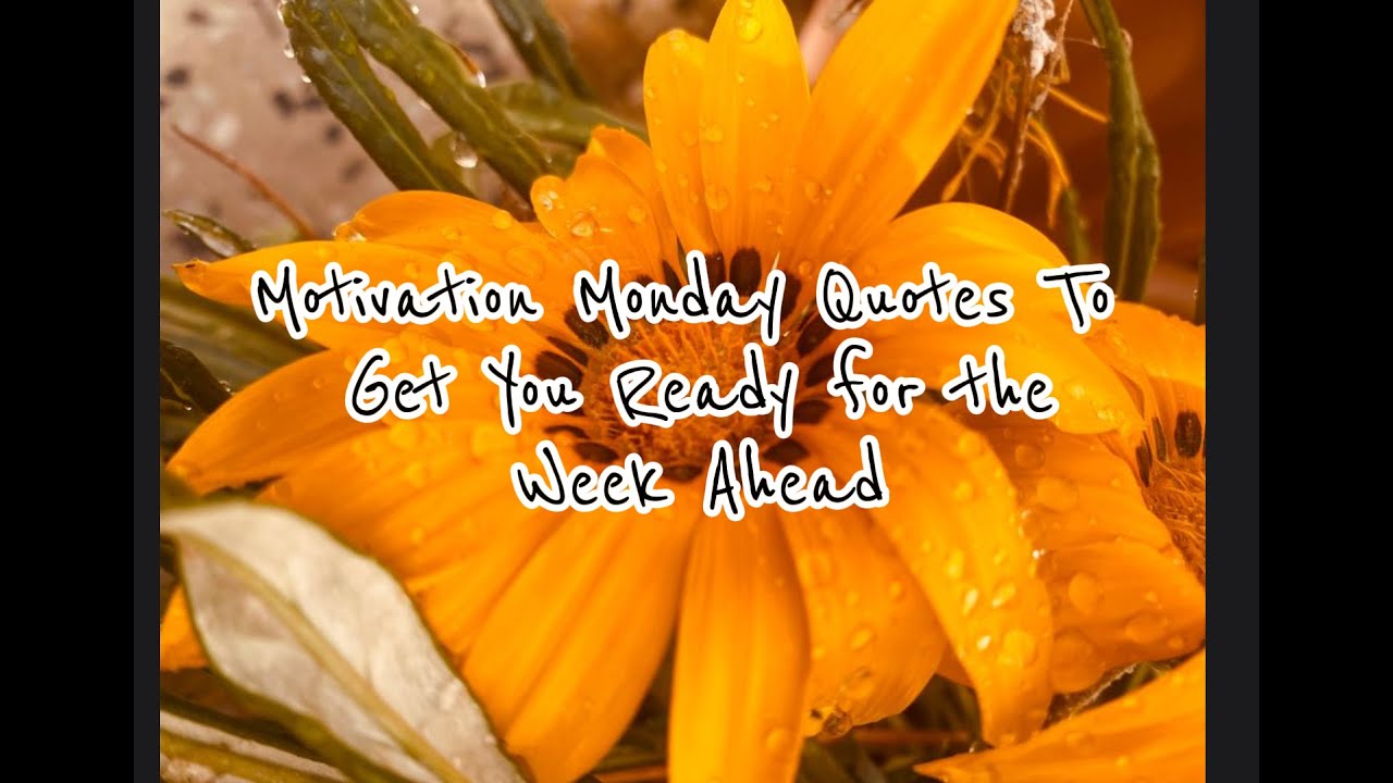 motivation monday quotes to get you ready for the week ahead - YouTube