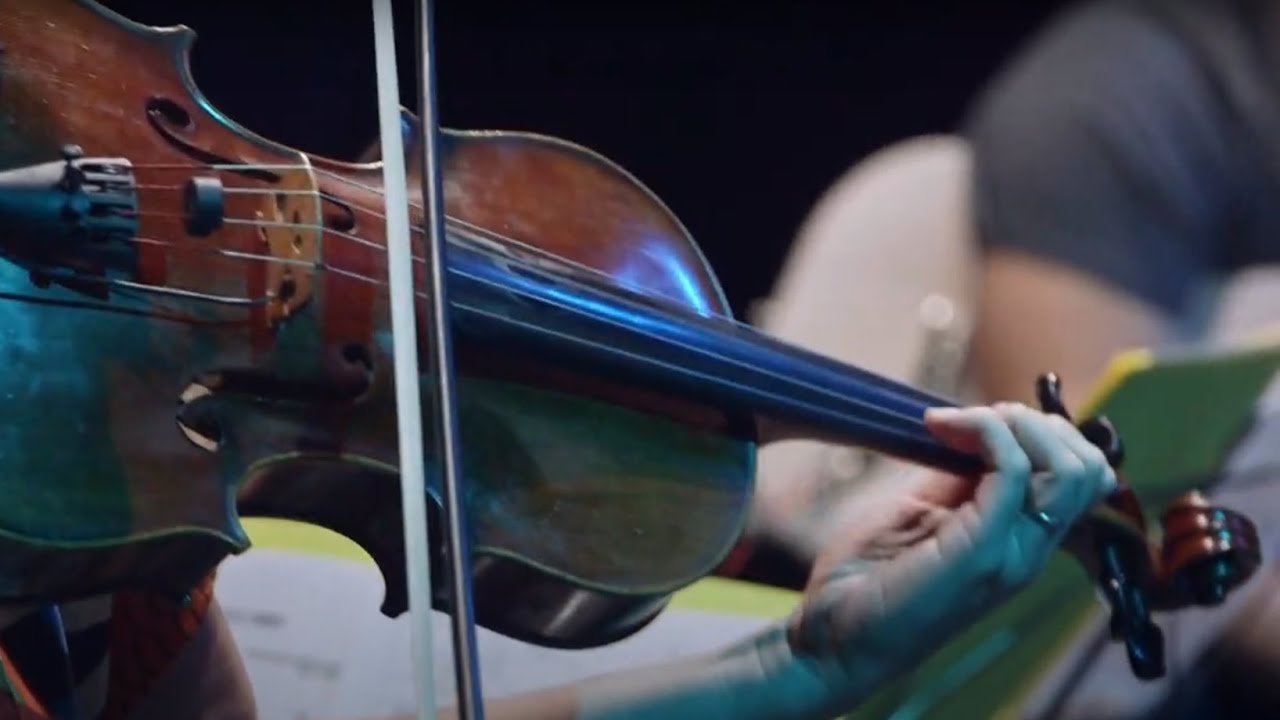 TRANSCRIPCIÓ 25 (Leonor Falcón). Pedro Strukelj Transcripcions. - YouTube