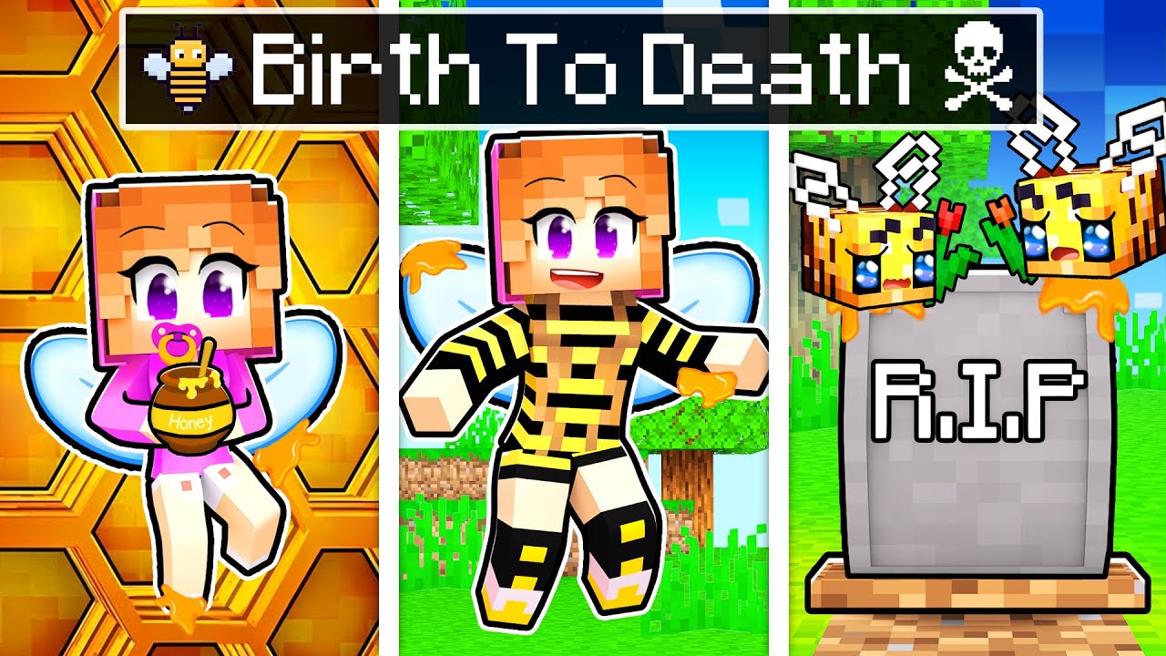The BIRTH to DEATH of a Minecraft Bee! - YouTube