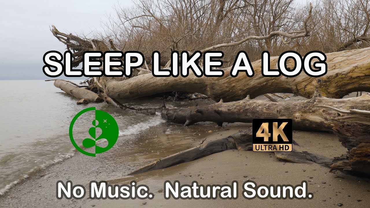 SLEEP LIKE A LOG. No Music. Natural Sound. - YouTube